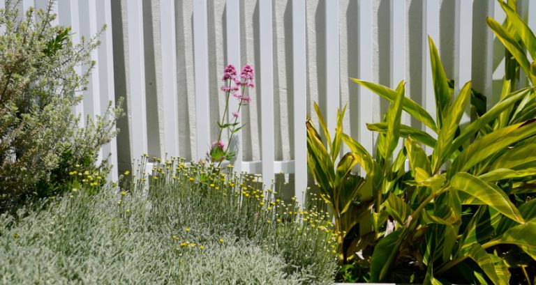 Story - Yergan Landscape